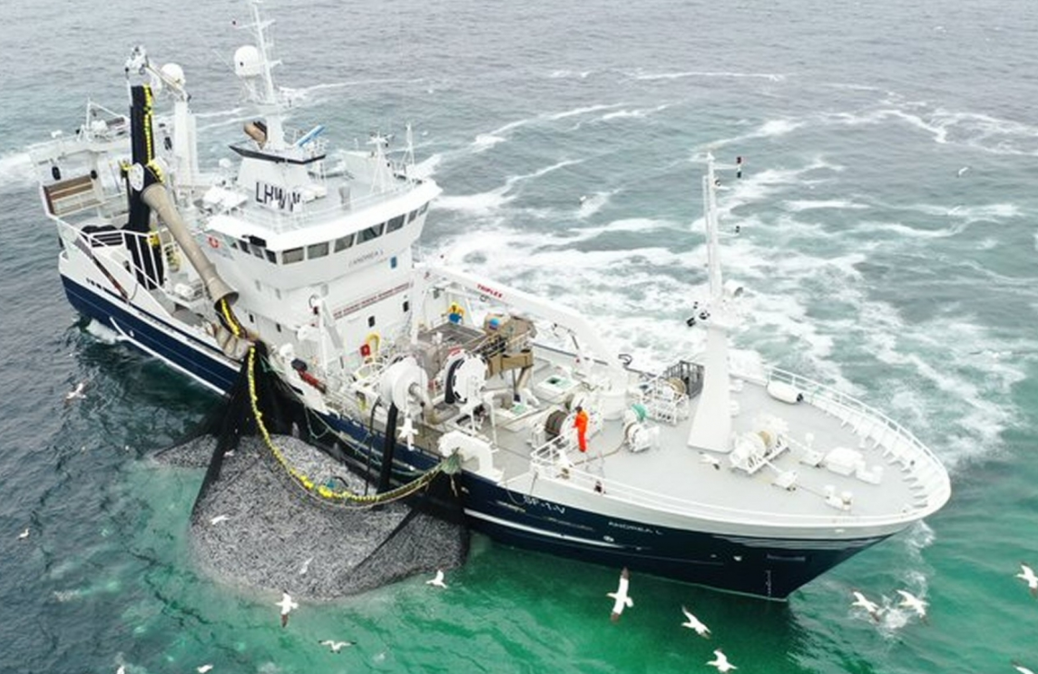 Utlysning: Evaluering av systemer for å holde hval unna ringnot